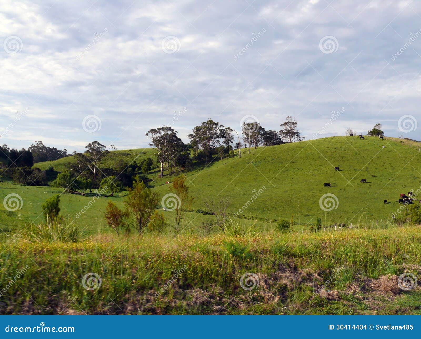 Travel To Australia. Fields, Plains, Hills Stock Photo - Image of ...