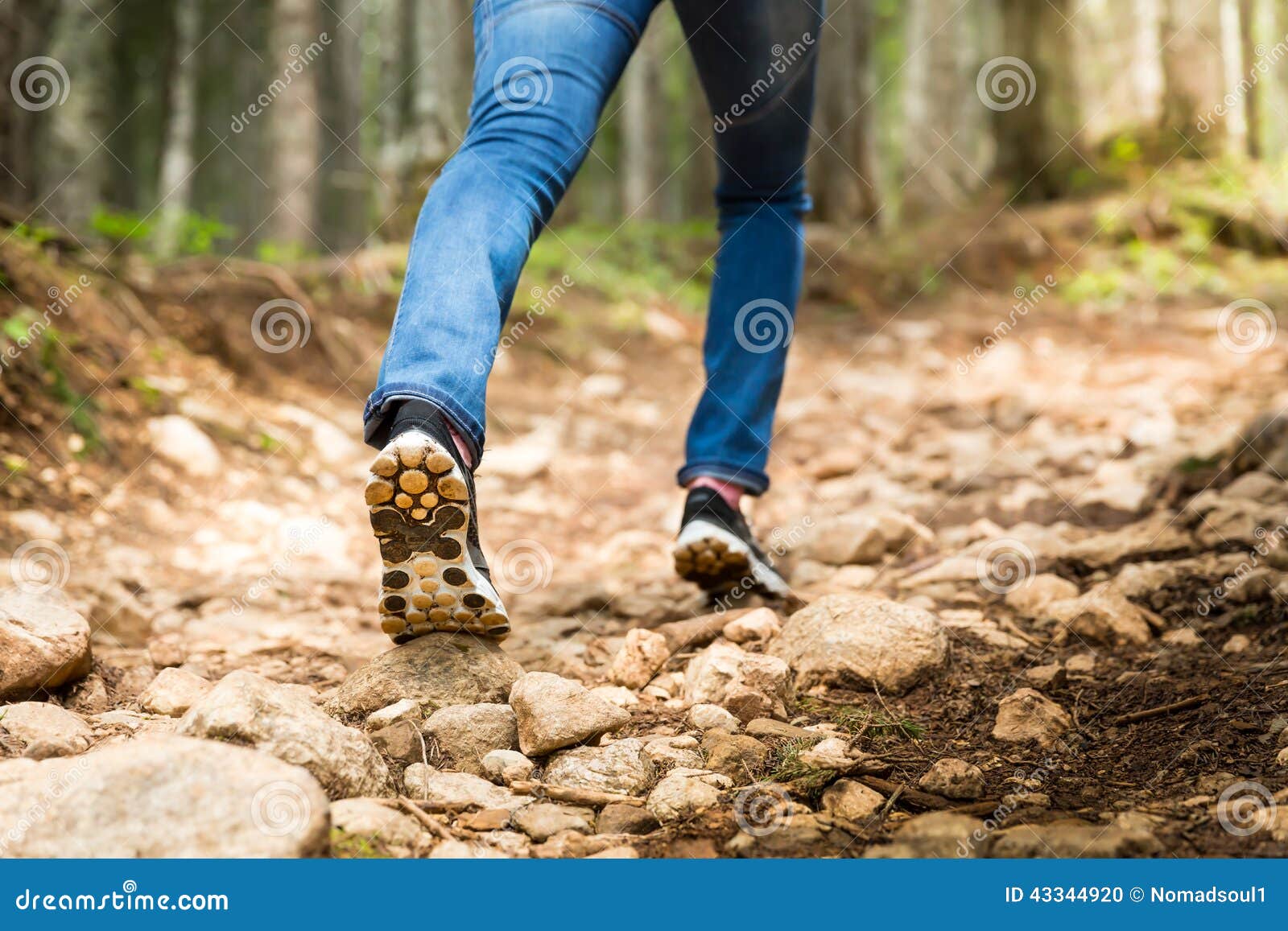 Traveler Infront of Footpath in the Forest Stock Photo - Image of adult ...
