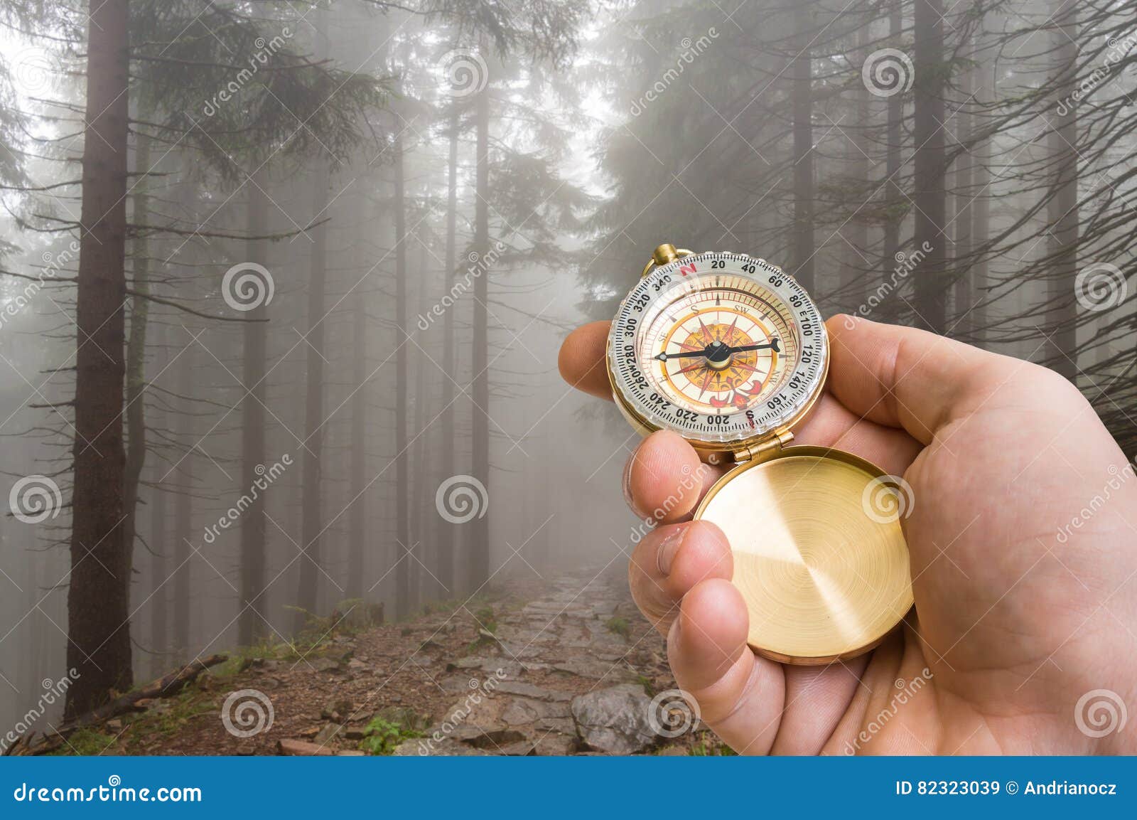 Traveler Man with Compass Seeking a Right Way in the Forest Stock Image ...
