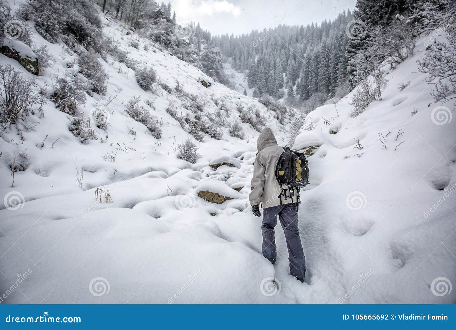 Snowfall in the mountains. stock photo. Image of mountains - 105665692