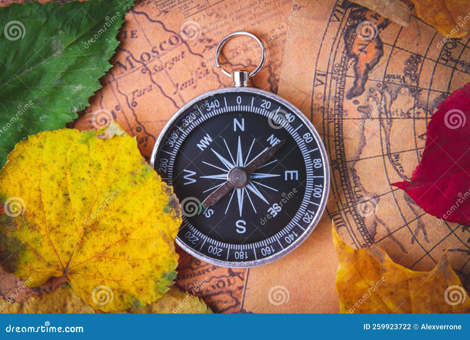 Traveler& X27;s Compass on Map in Bright Multi-colored Autumn Leaves ...