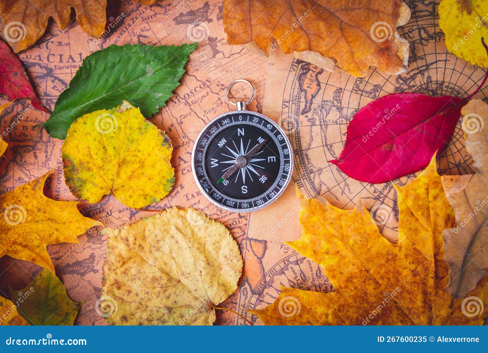 Traveler S Compass on Map in Bright Multi-colored Autumn Leaves ...