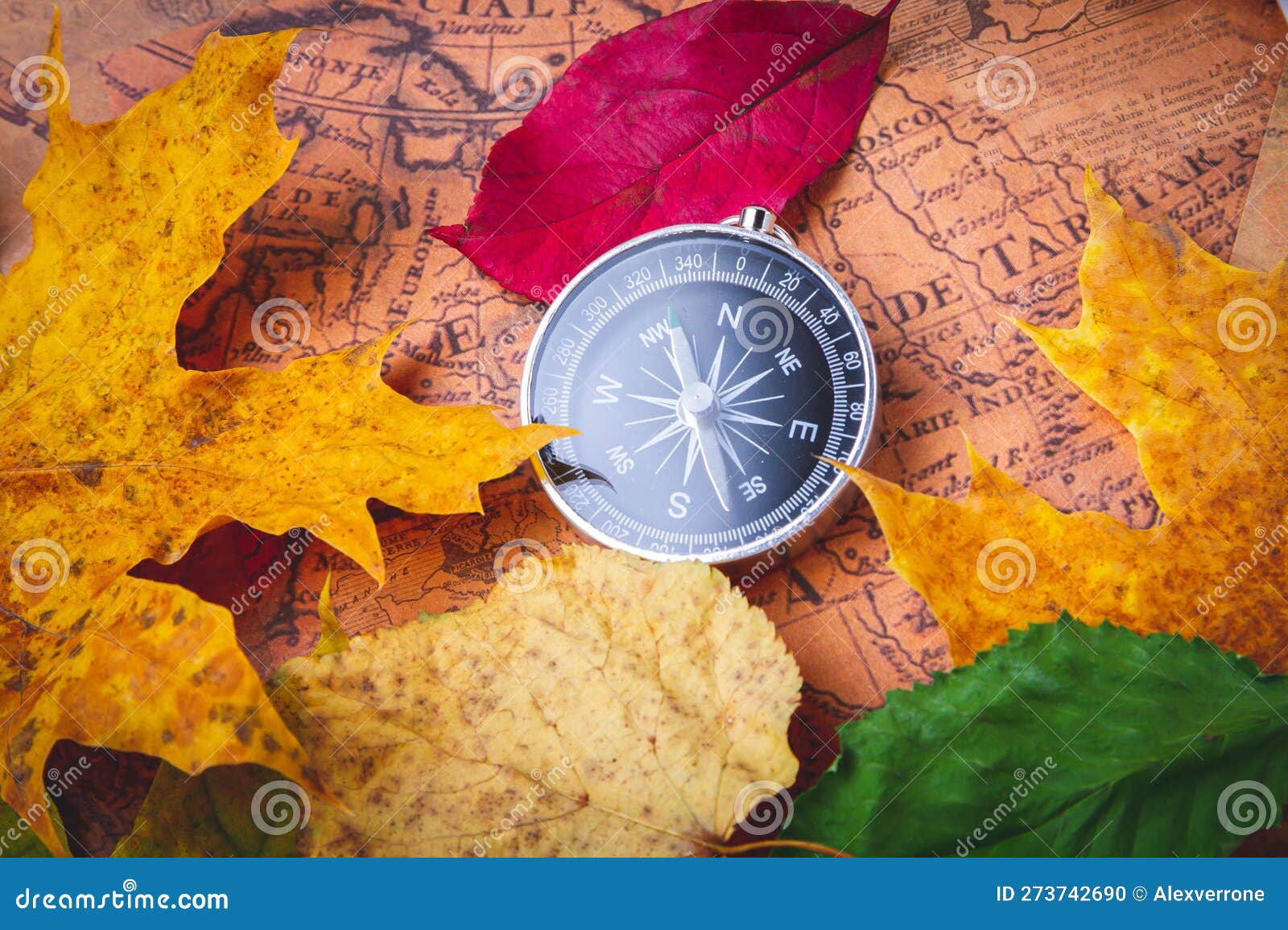 Traveler S Compass on Map in Bright Multi-colored Autumn Leaves ...
