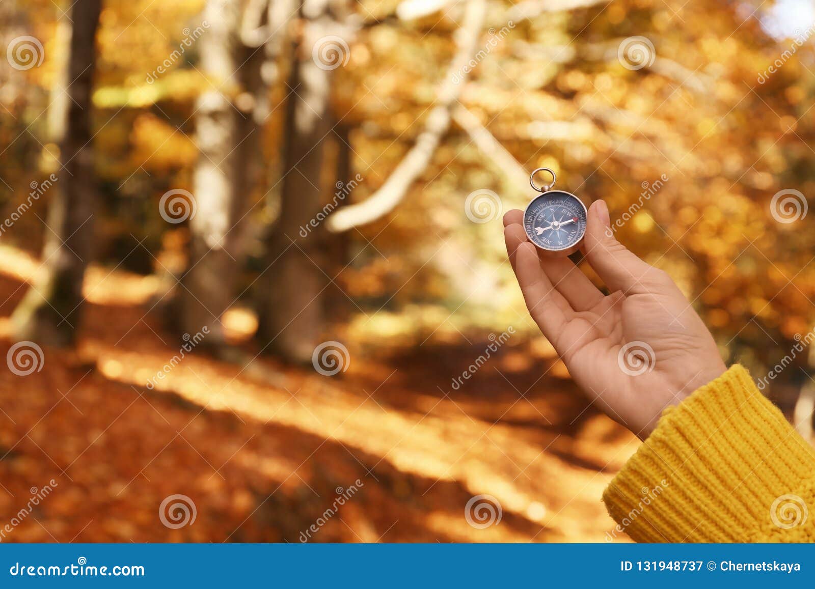 Traveler Searching Direction with Compass in Wilderness, Closeup Stock ...