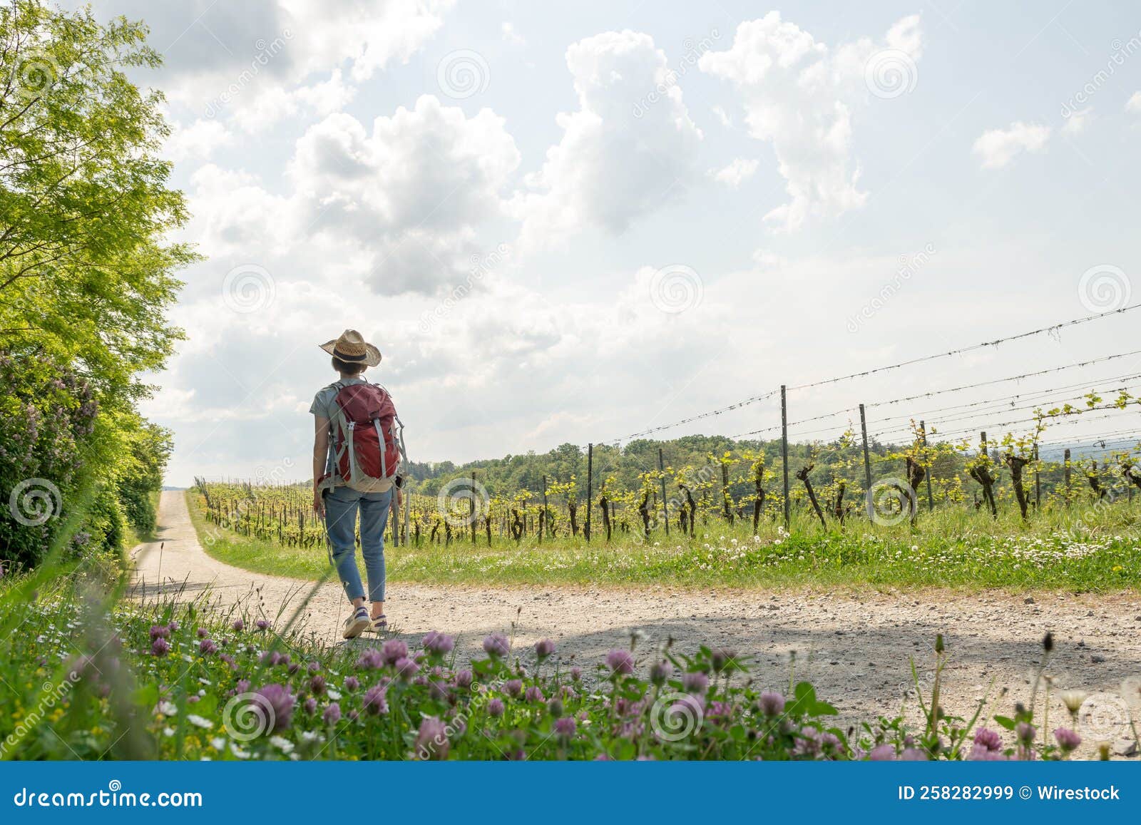 Traveler Standing Backward on a Flower Path Looking into the Distance ...