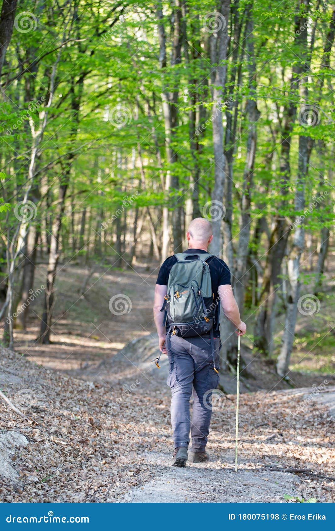 Traveler Walking in Spring Forest Stock Photo - Image of outside, hike ...