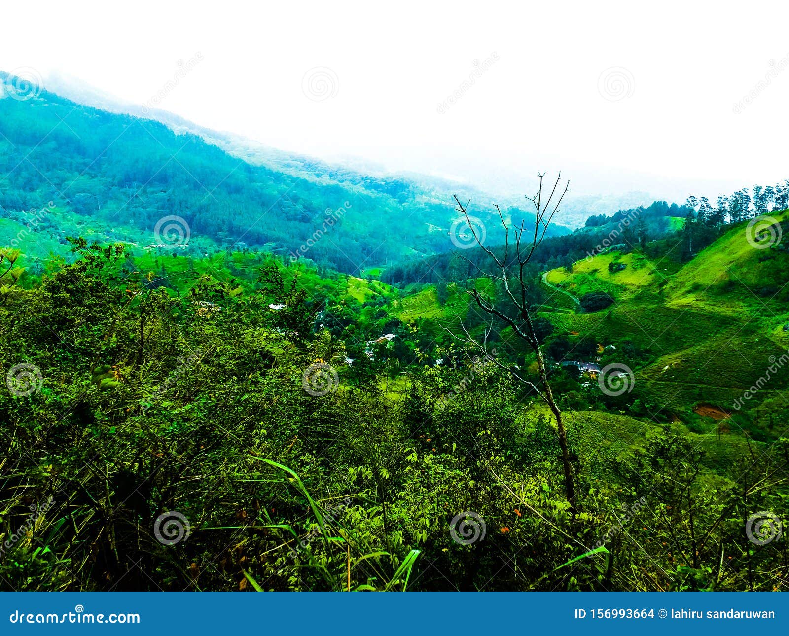 Traveling stock photo. Image of road, lanka, rangala - 156993664