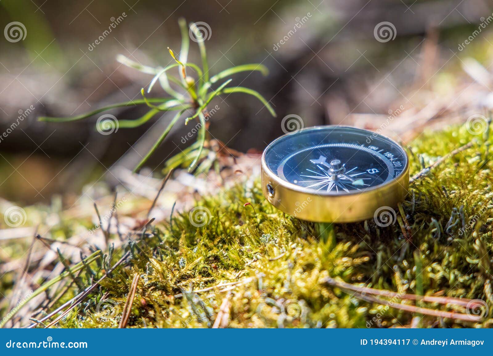 Traveller Compass on the Grass in the Forest Stock Image - Image of ...