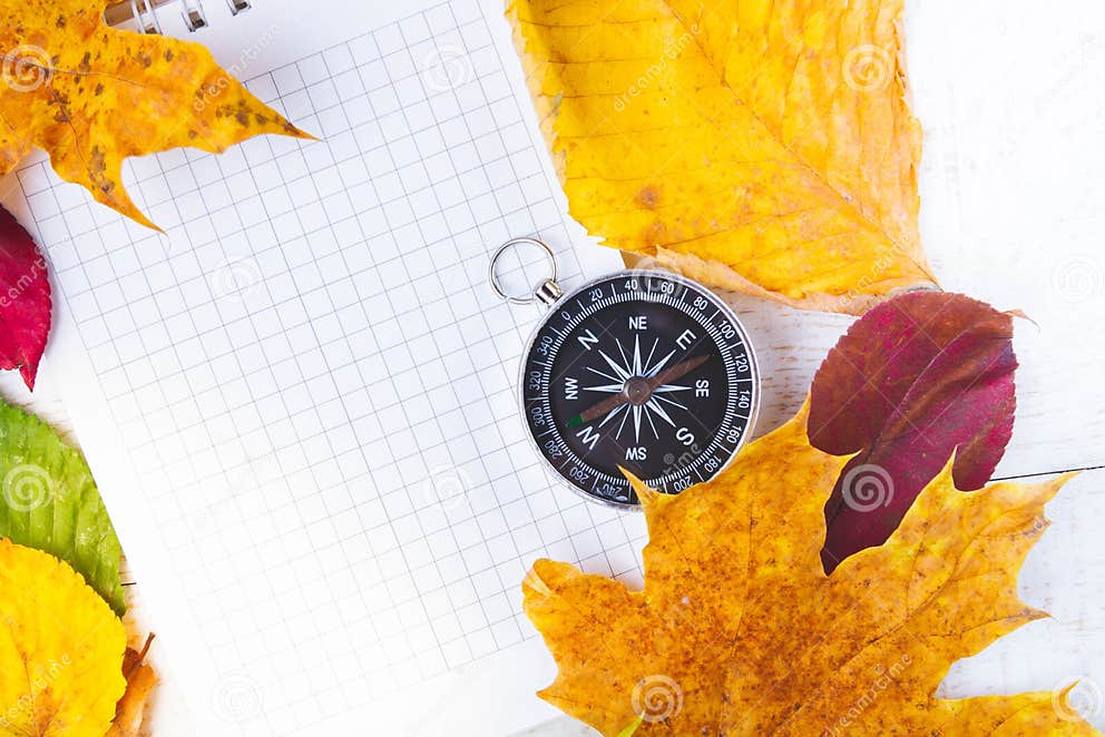 Traveller S Notes. Compass and Notepad for Notes in Bright Autumn ...