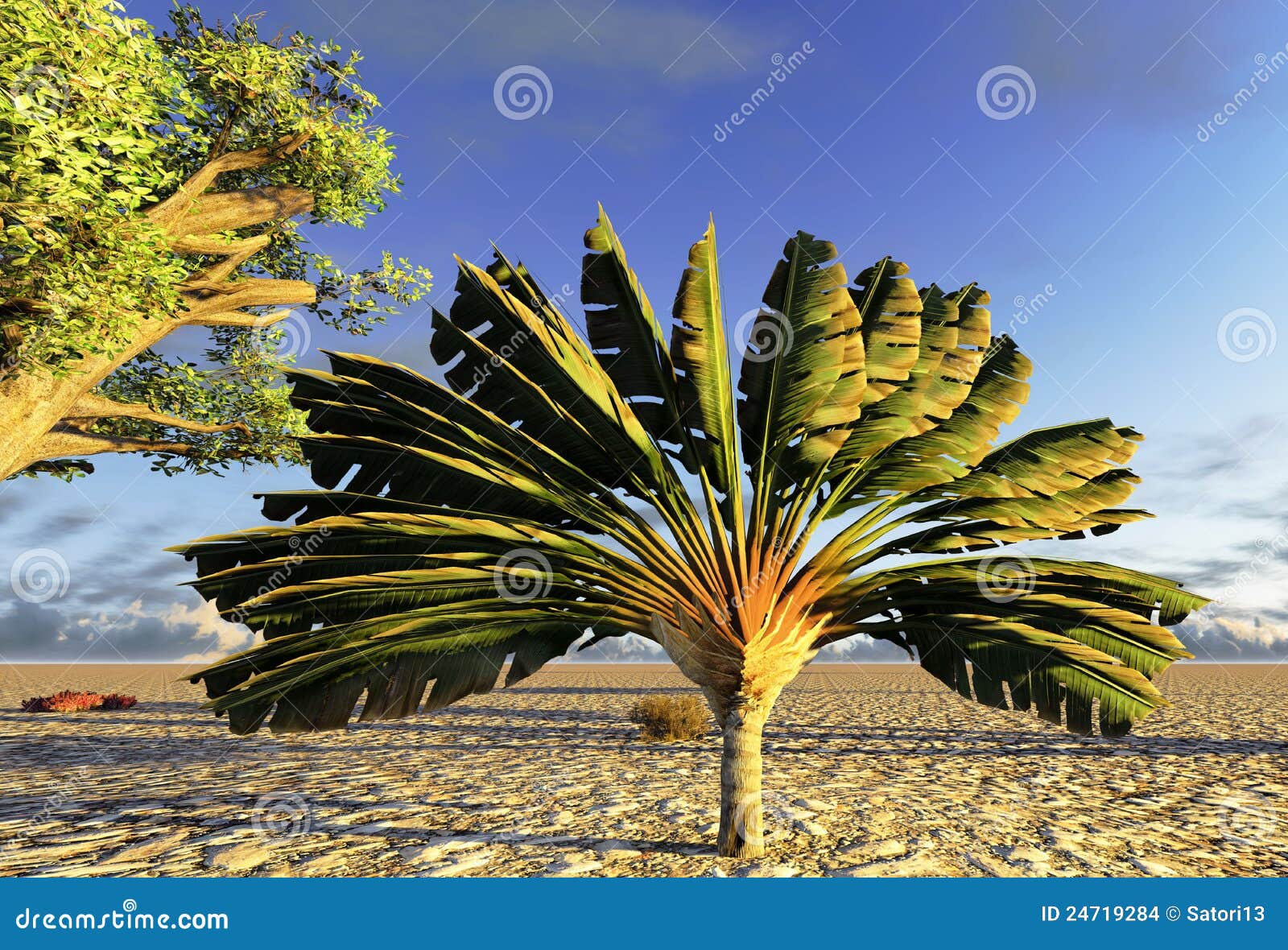 Traveller s tree stock illustration. Illustration of environment - 24719284