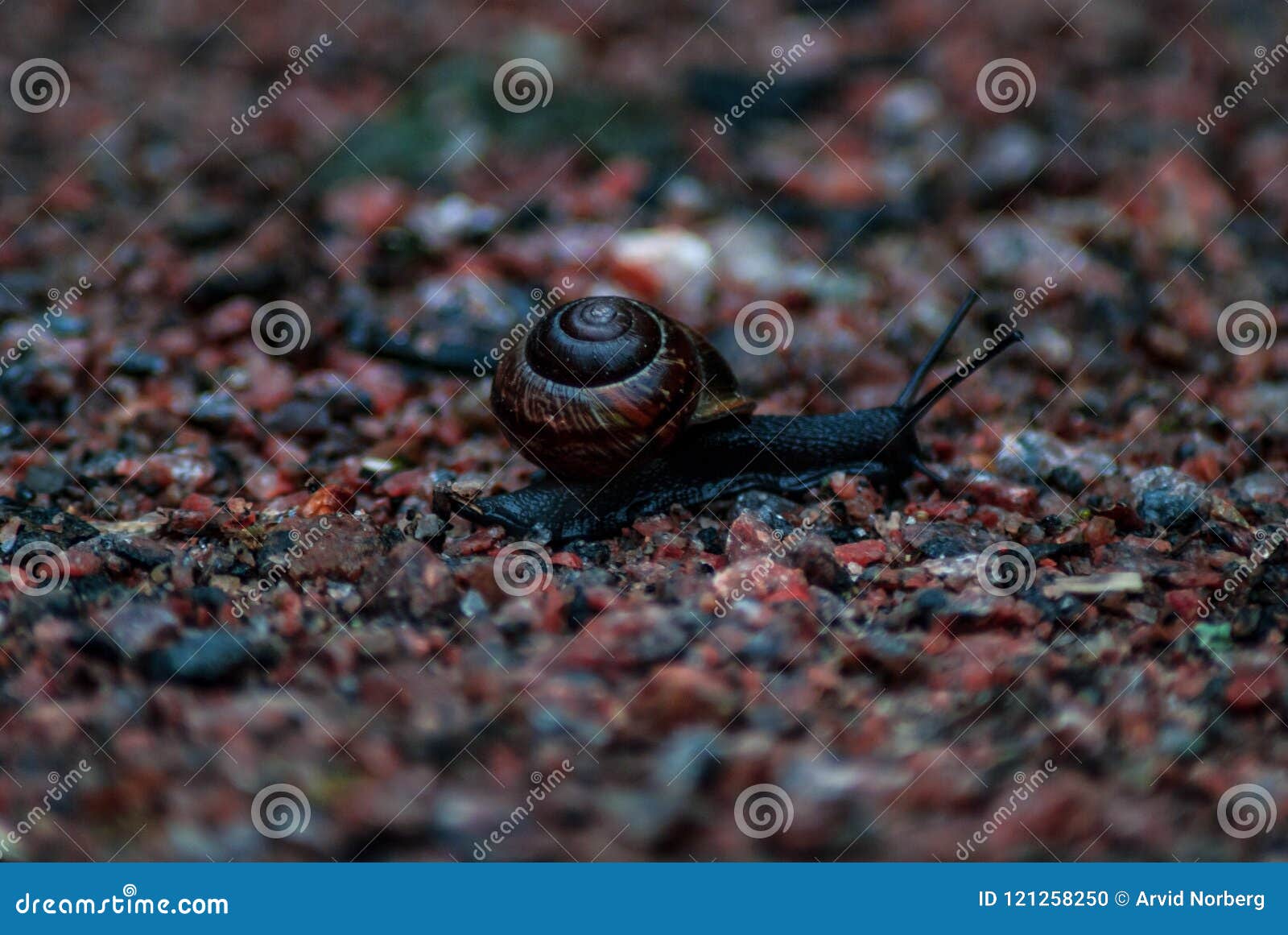 Travelling Through Black Space, White Starfield, Seamless Loop ...