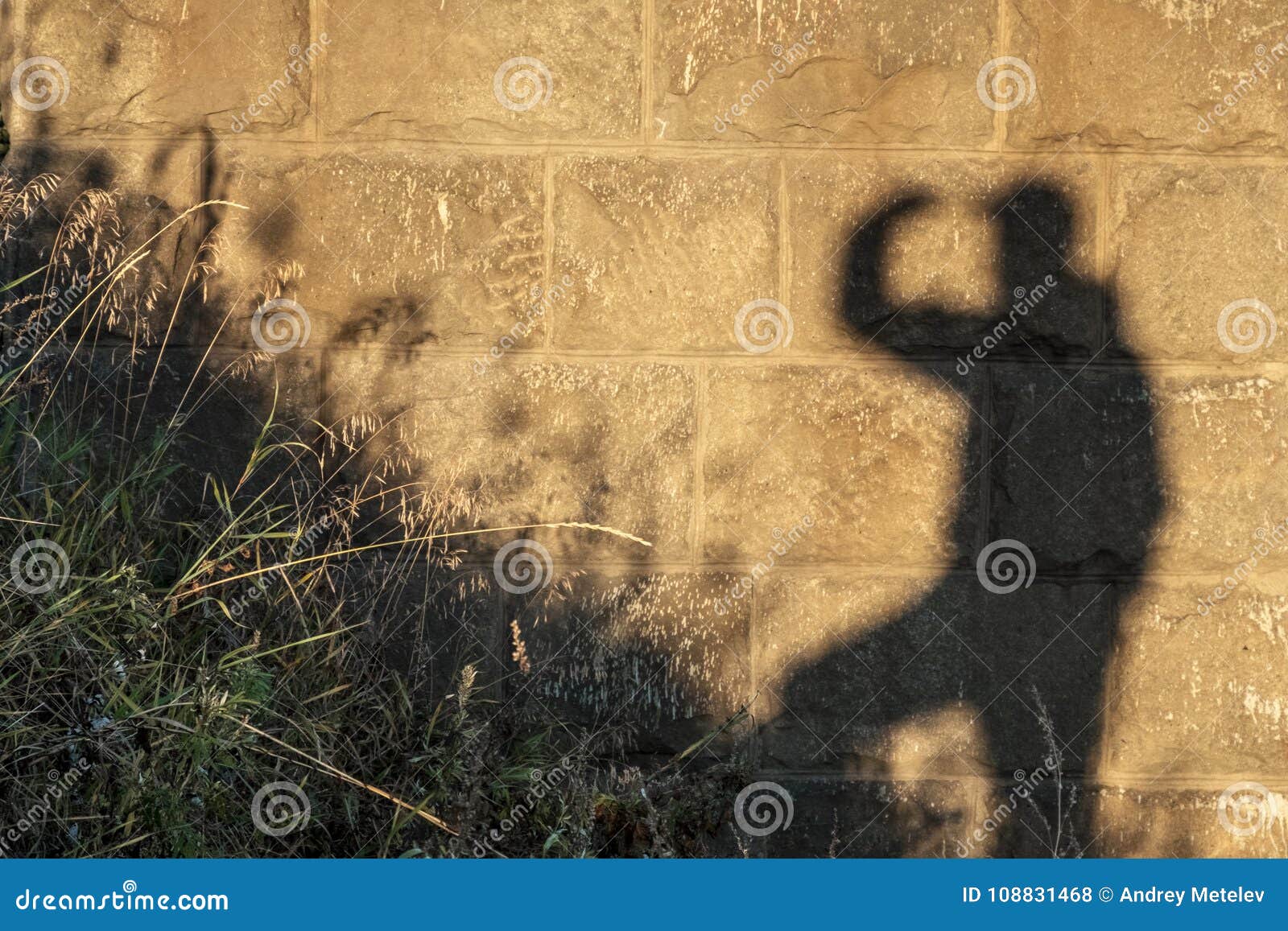Travelling the Shadow Looking Up, the Diagonal of the Grass and Walls ...