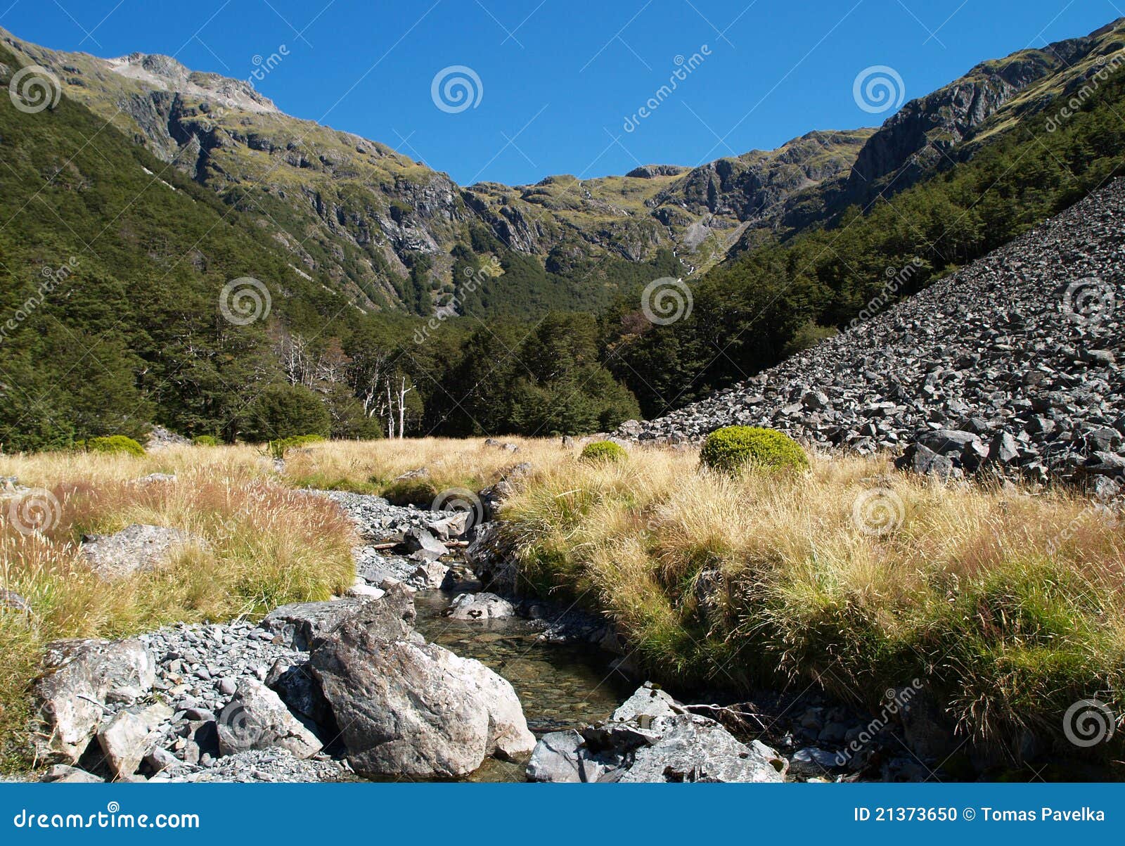 Travers river valley stock photo. Image of summit, water - 21373650