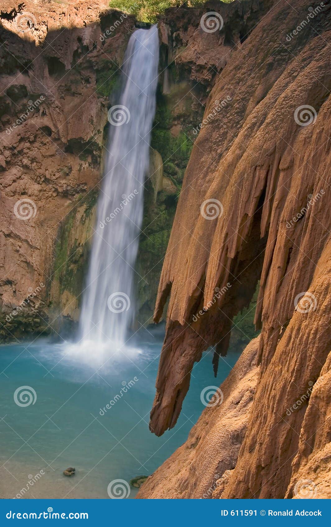 Travertine Rocks and Mooney Falls Stock Image - Image of grand, nature ...