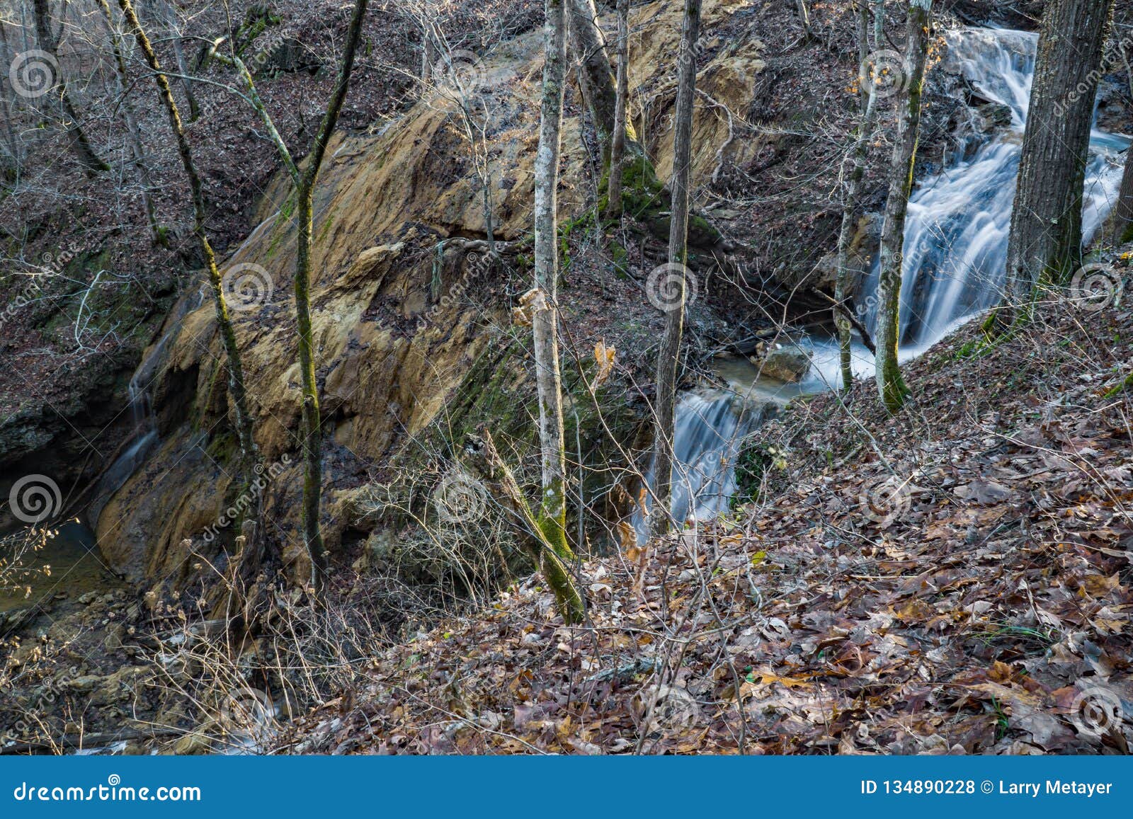 Travertine Waterfall Formation at the Falls Ridge Preserve, VA Stock ...