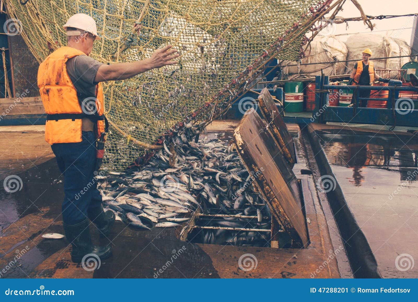 Trawl aboard editorial photo. Image of work, seaman, pouring - 47288201