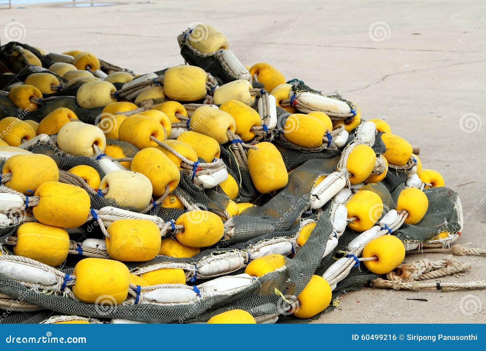 The trawl on the floor stock photo. Image of food, ship - 60499216