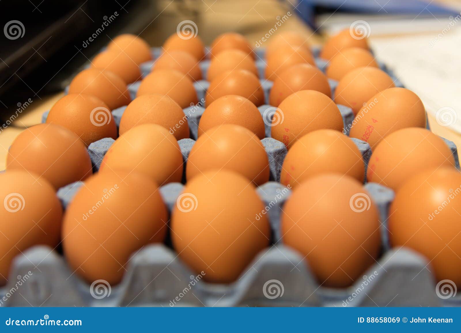 A tray of eggs stock image. Image of freshness, cooking - 88658069