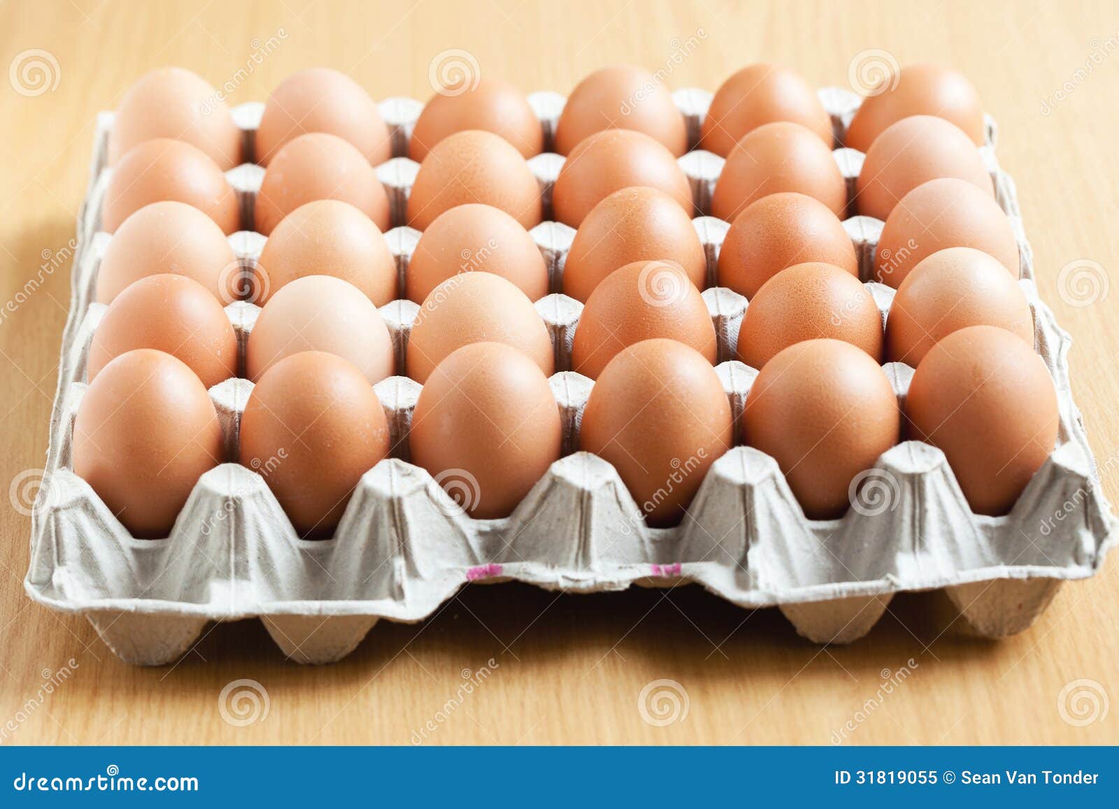 Tray of eggs in packaging stock image. Image of abundance - 31819055