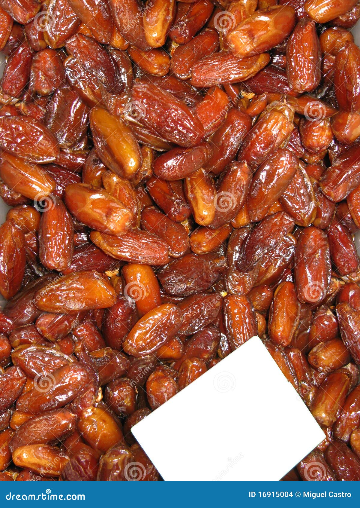 Tamaras Photos - Free & Royalty-Free Stock Photos from Dreamstime