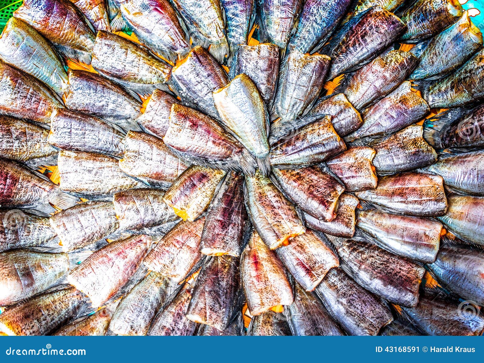 Tray of fish stock image. Image of fish, thailand, fresh - 43168591