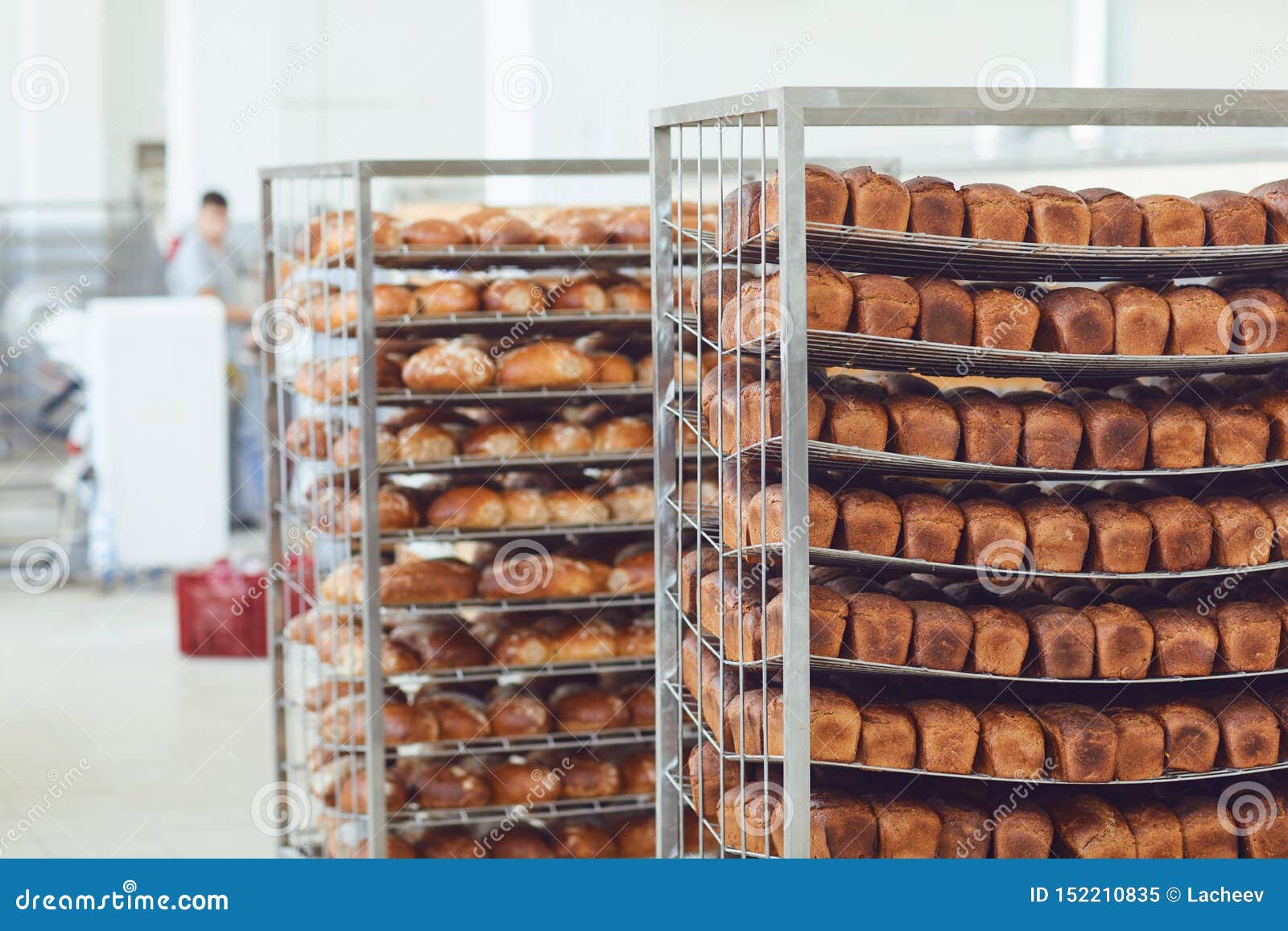Tray with Fresh Brown Bread at the Bakery. Stock Image - Image of ...