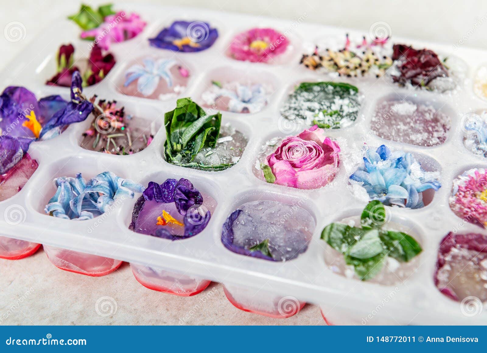 Tray with Frozen Flowers in Ice Cubes Stock Image - Image of flower ...
