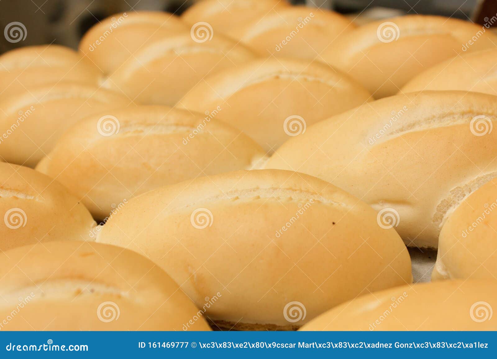 Tray Full of Bread Fresh from the Oven Stock Image - Image of oven ...