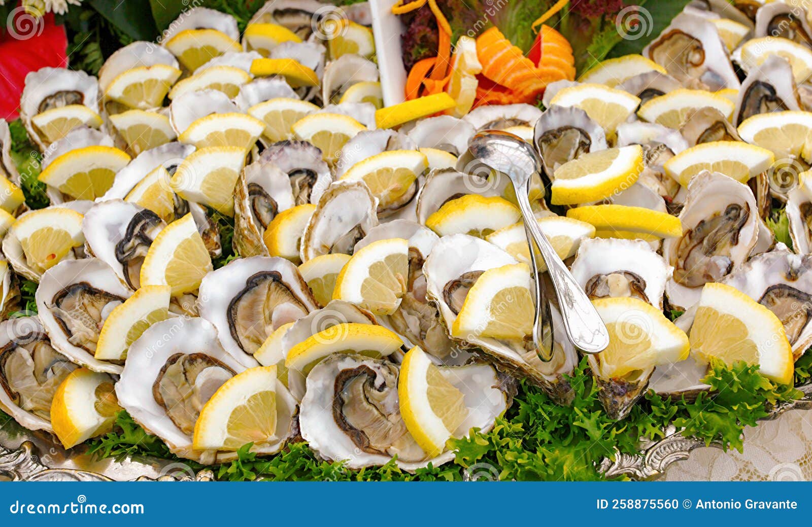 Tray of oysters with lemon stock photo. Image of salad - 258875560