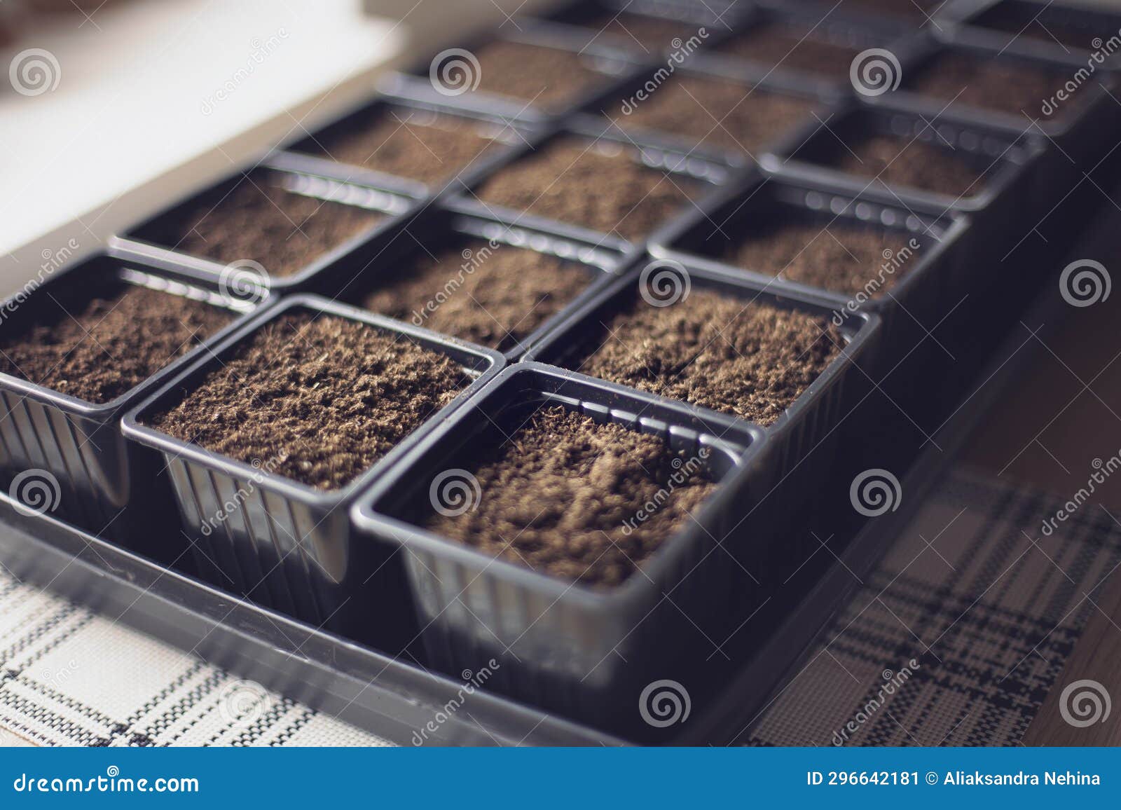 Tray for Seedlings with Earth. Containers for Growing Seedlings at Home ...