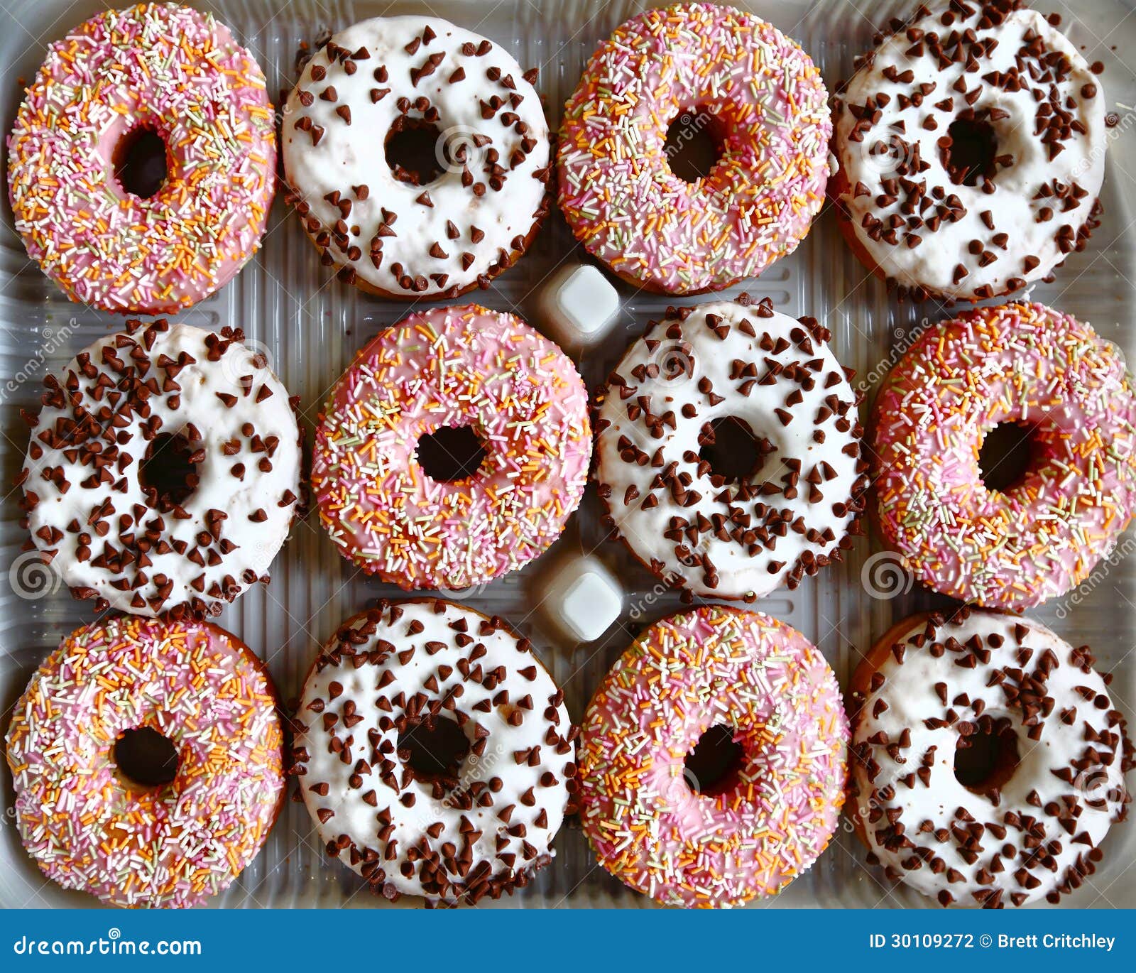 Tray of ring donuts stock photo. Image of white, sweet - 30109272