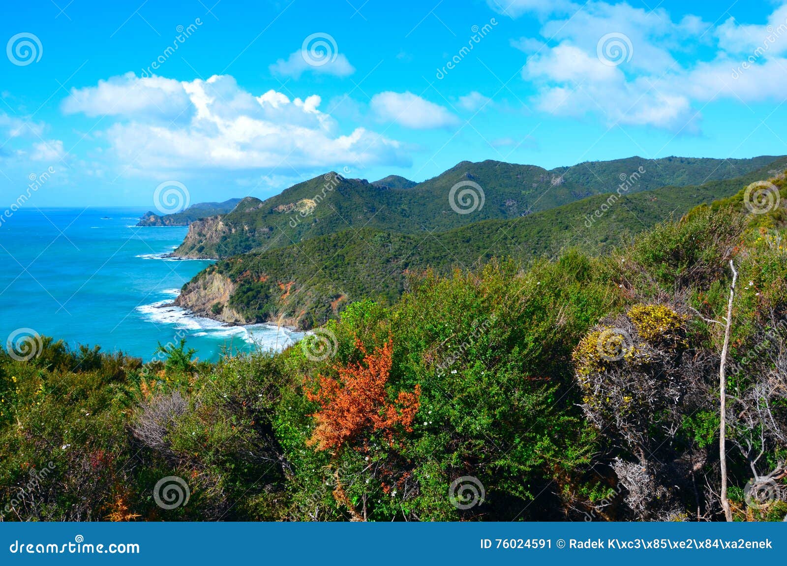 Trayectoria Costera En La Gran Isla De La Barrera Imagen de archivo ...