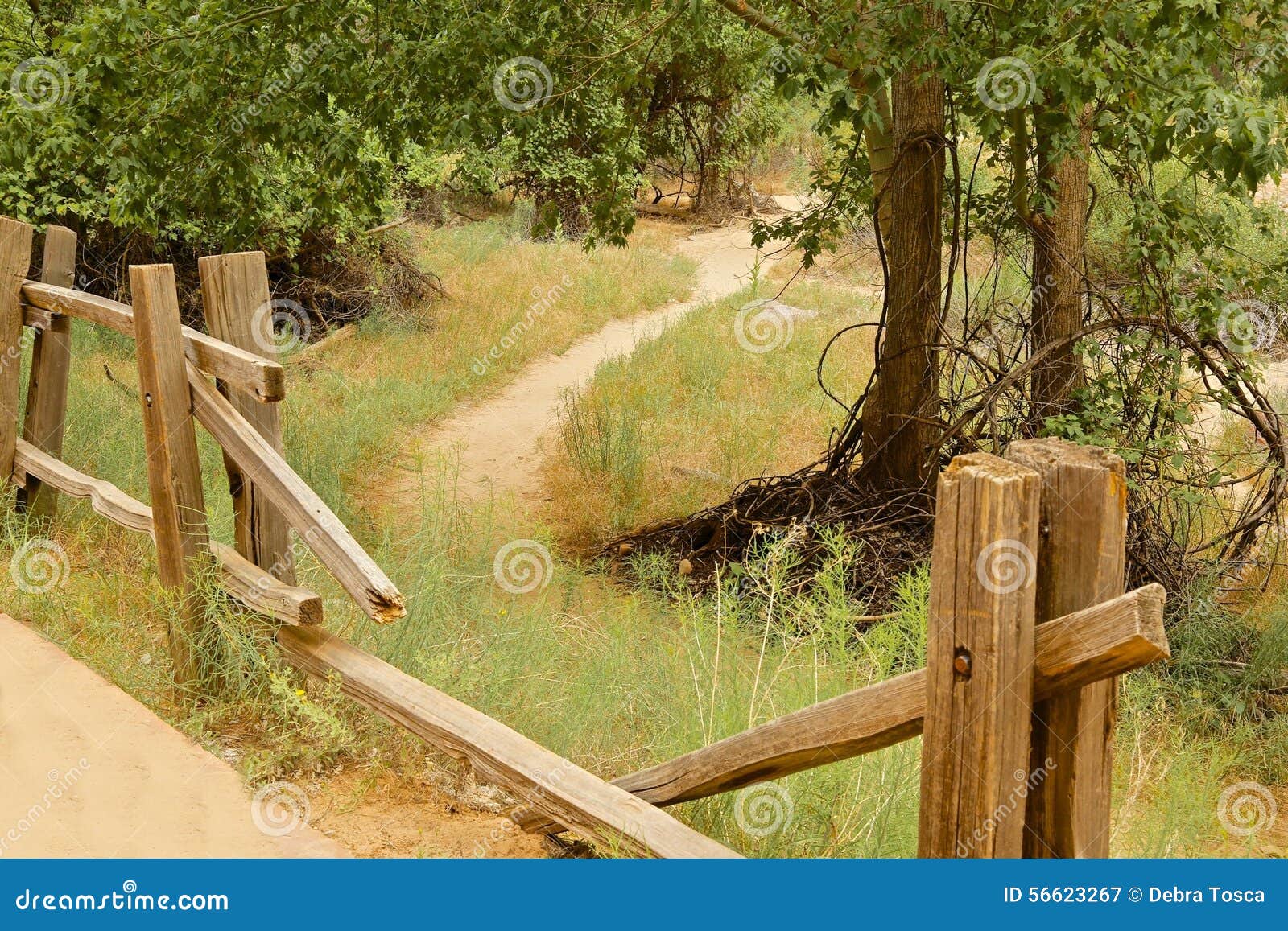 Trayectoria de la cerca imagen de archivo. Imagen de maderas - 56623267