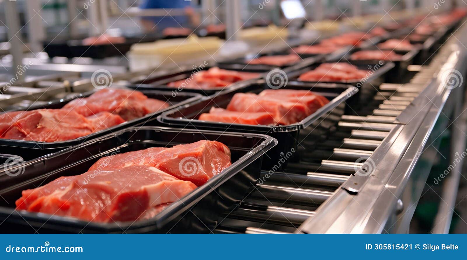 Trays of Red Meat Progress through an Automated Processing Line, Inside ...