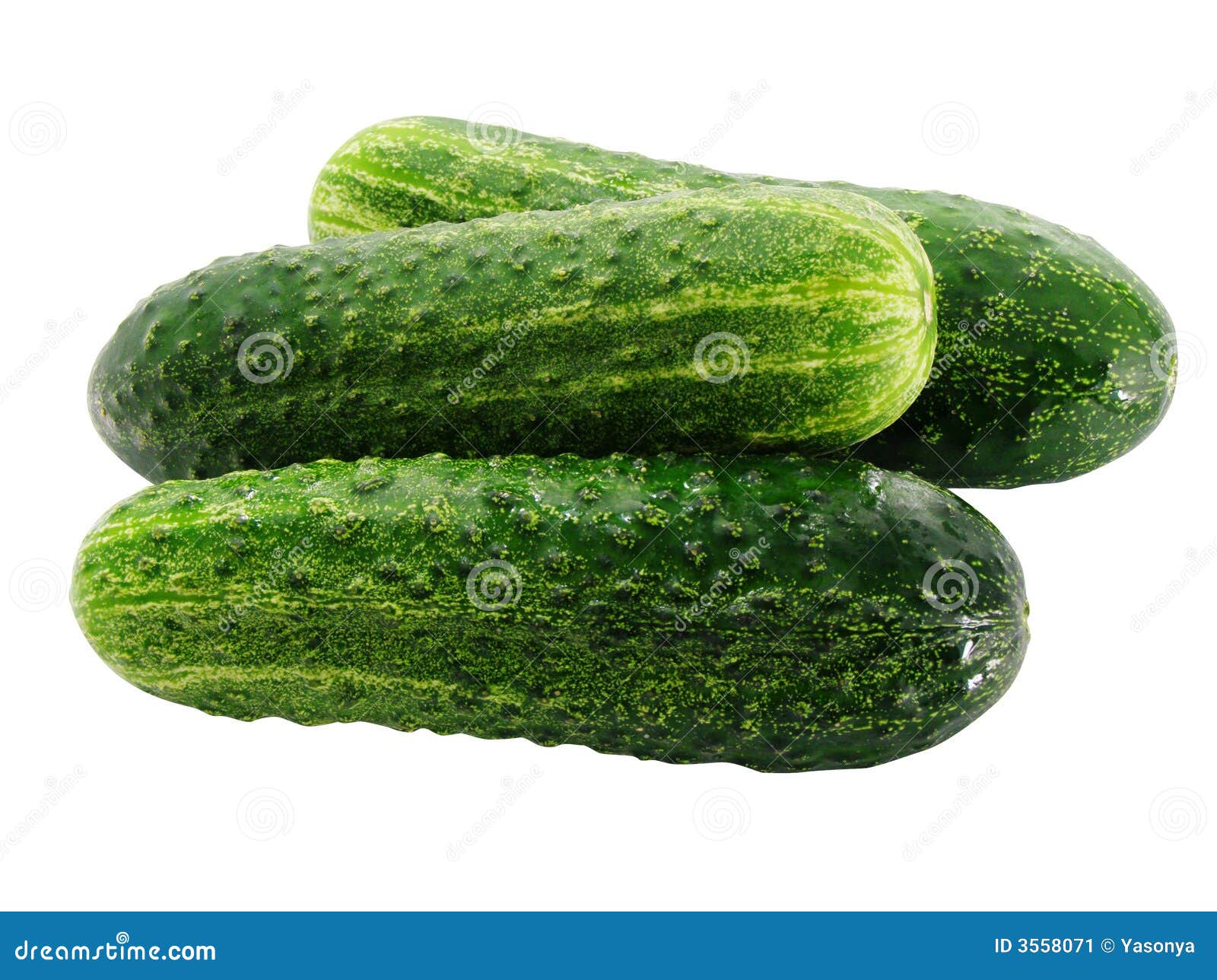 Tre cetrioli verdi maturi immagine stock. Immagine di appetito - 3558071