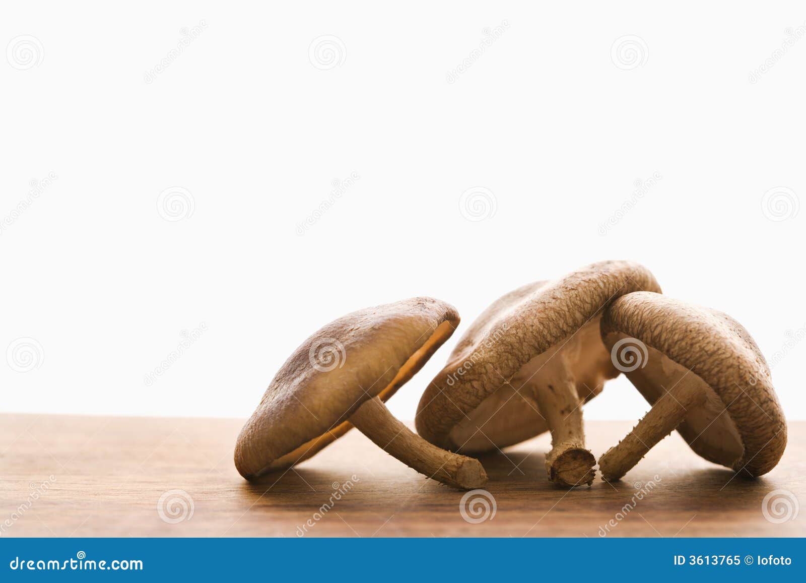 Tre funghi marroni. immagine stock. Immagine di prodotti - 3613765