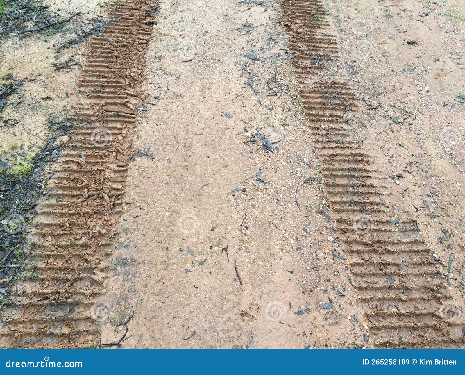 Tread Tracks of a Continuous Wheel Excavator Digging Vehicle Stock ...