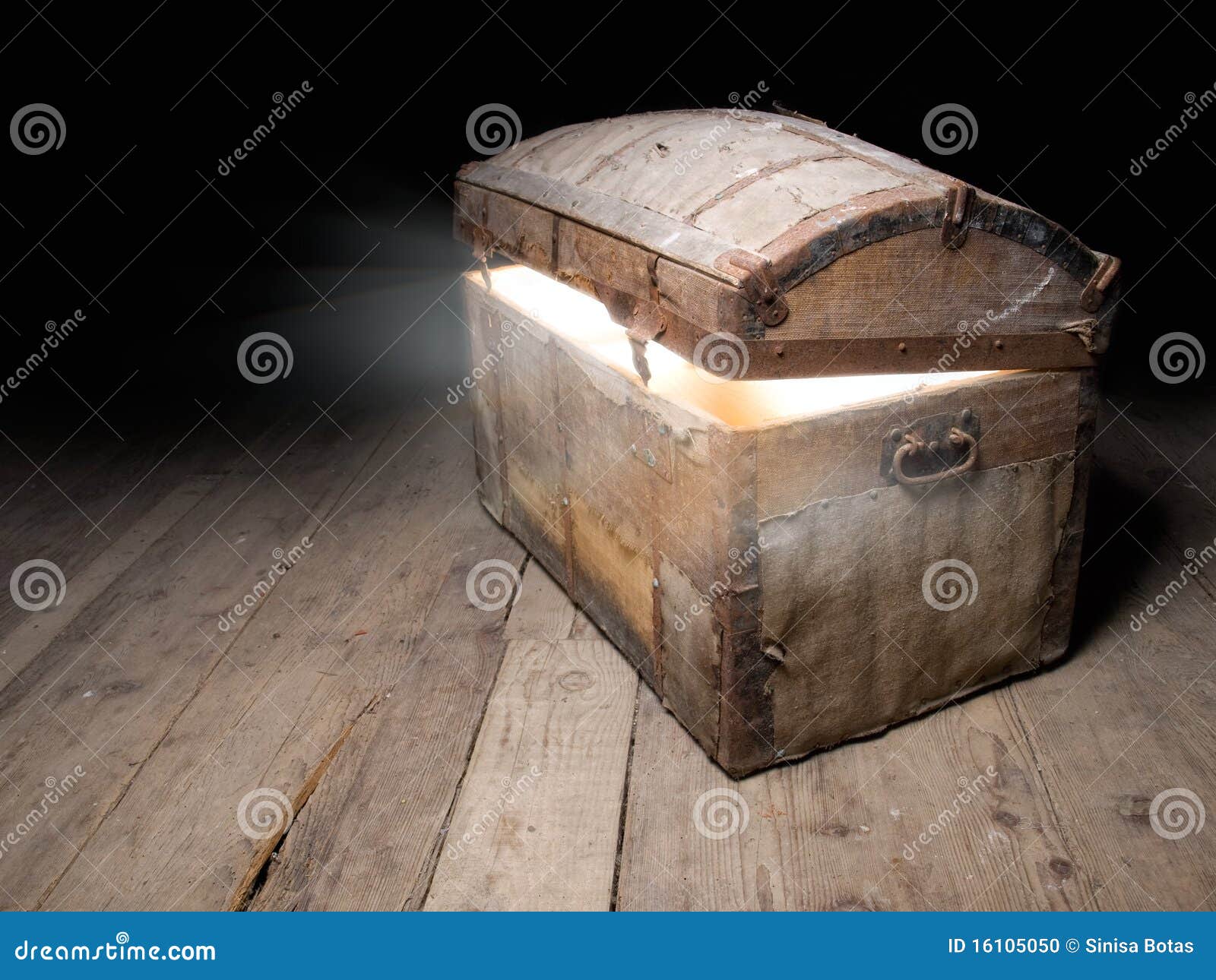 Chest X-Ray Stock Photo | CartoonDealer.com #31294896