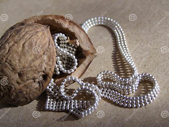 Treasure in walnut stock photo. Image of bracelet, dark - 24046814