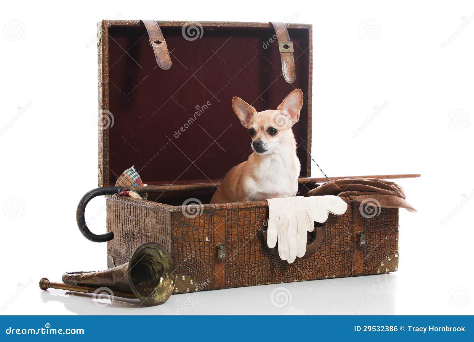 Treasured items stock photo. Image of small, vintage - 29532386