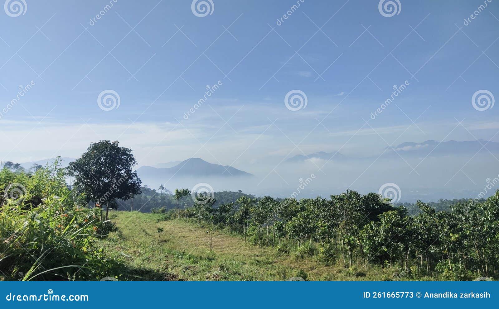 Treat the Morning View on Mount Manglayang Stock Image - Image of view ...