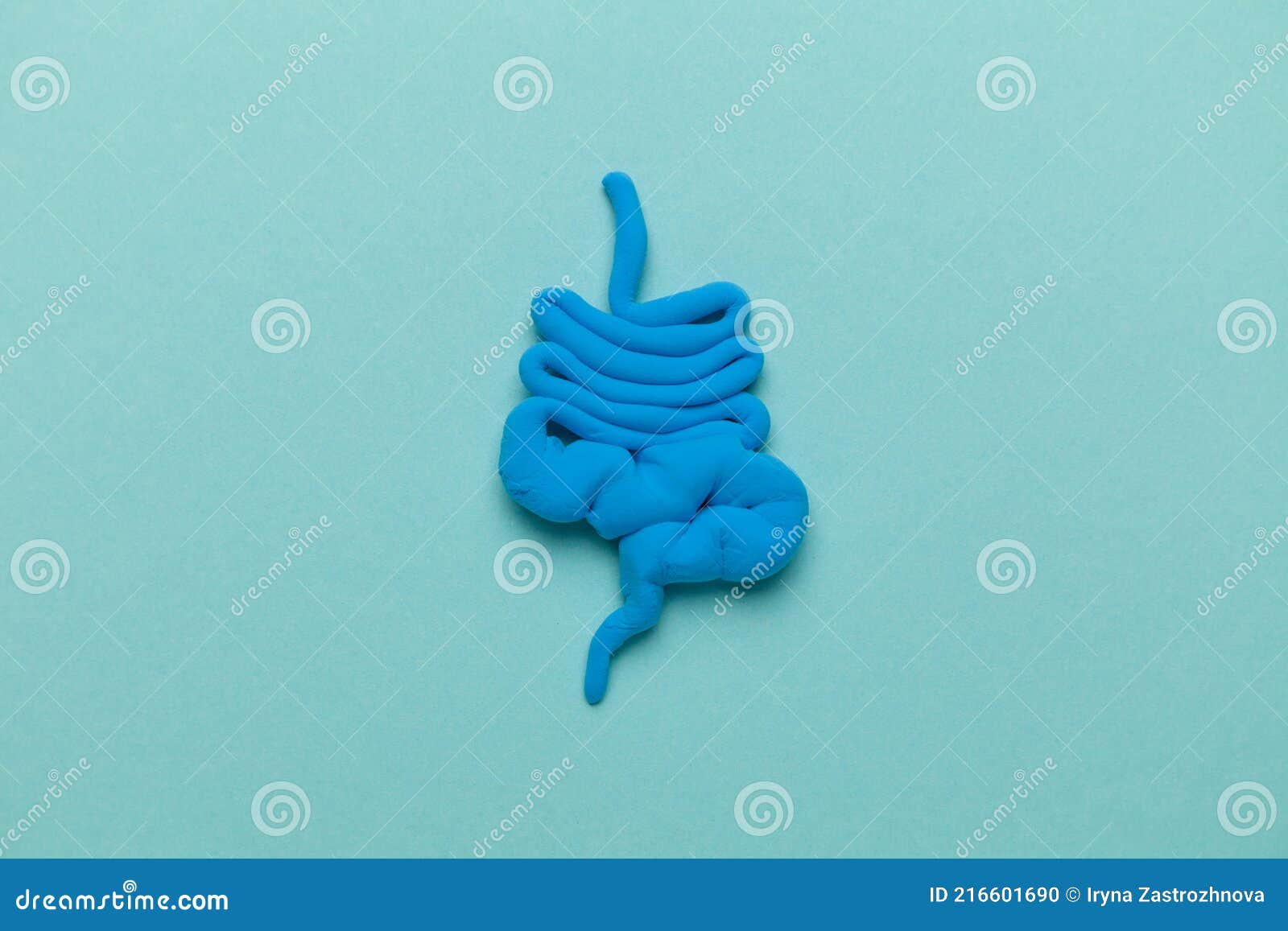 Treating Inflammatory Bowel Disease. Digestive Organ Model on Blue ...