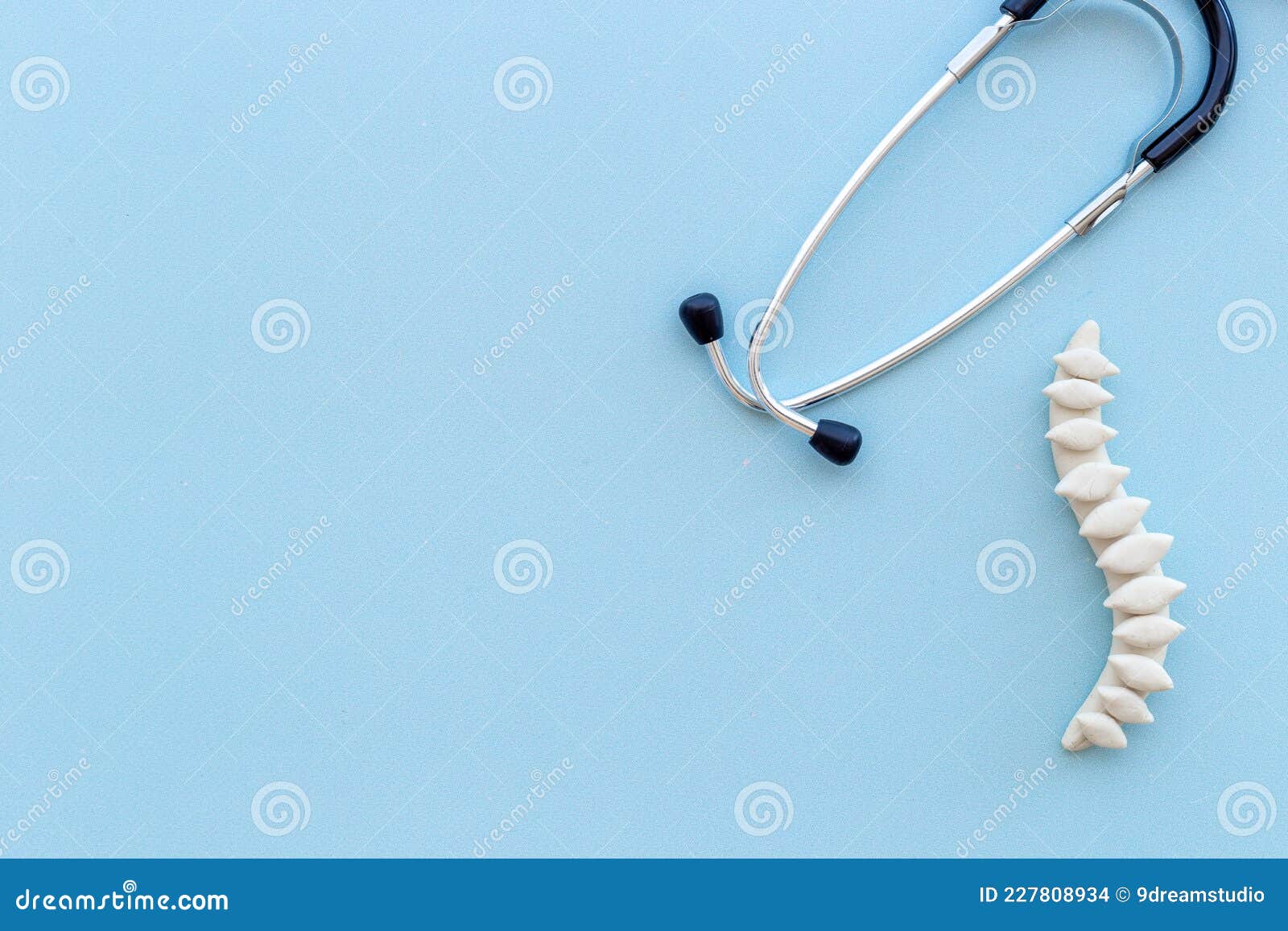 Treatment of Osteochondrosis - Medical Spine Model with Stethoscope ...