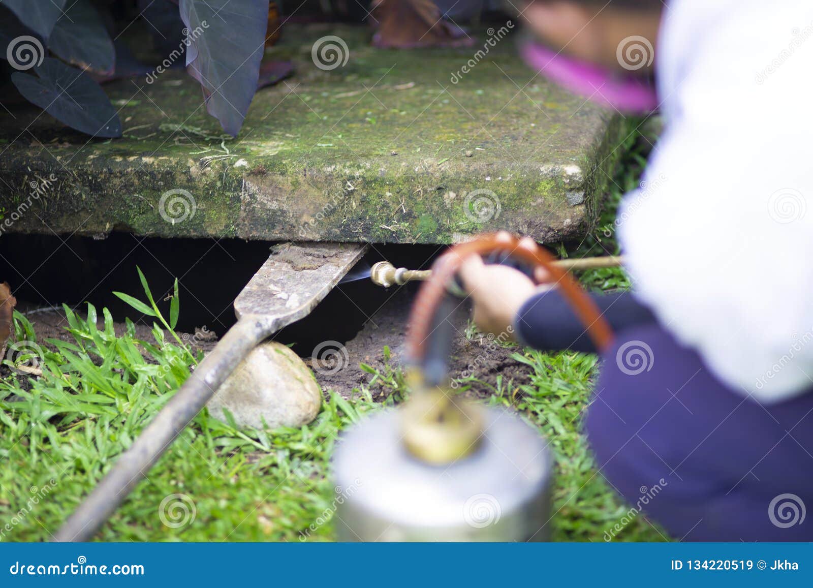 Treatment, Pest Control, Fumigation Outdoors Stock Image - Image of ...