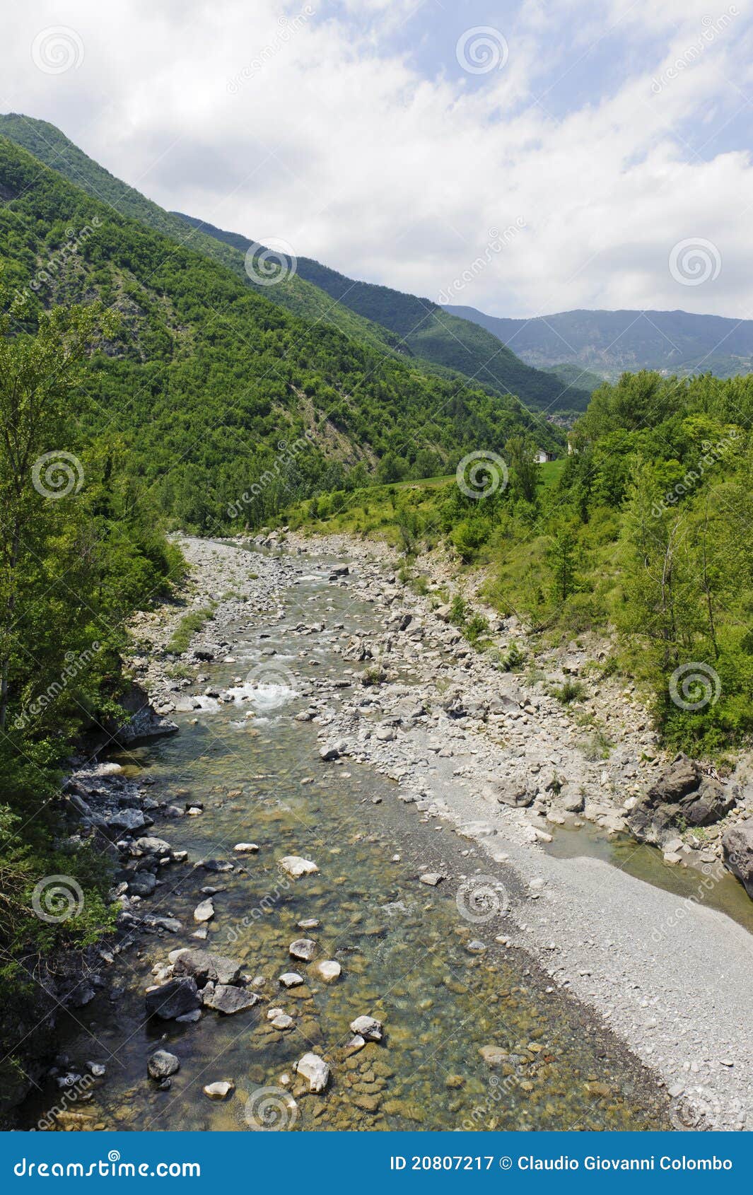 The Trebbia River at Summer Stock Image - Image of green, vertical ...