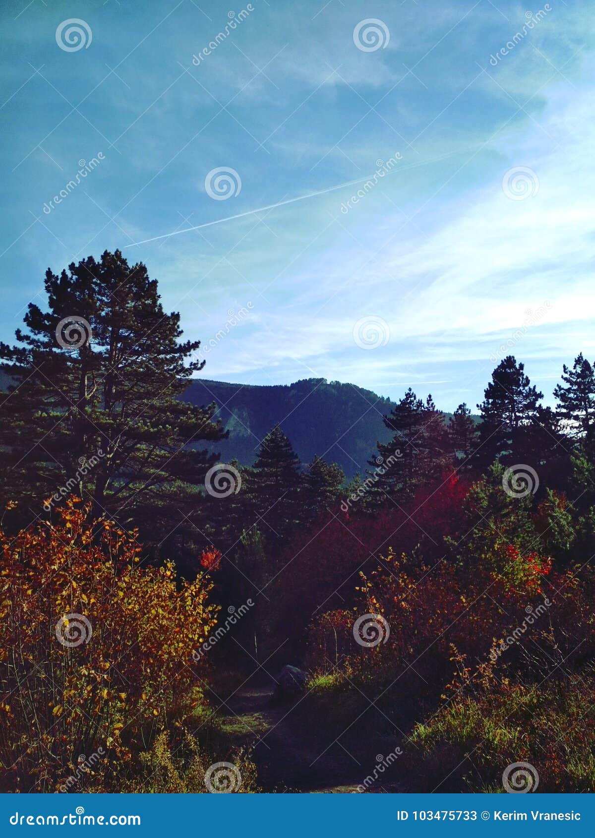 Trebevic-Berg 2 stockbild. Bild von nave, berg, bosnien - 103475733