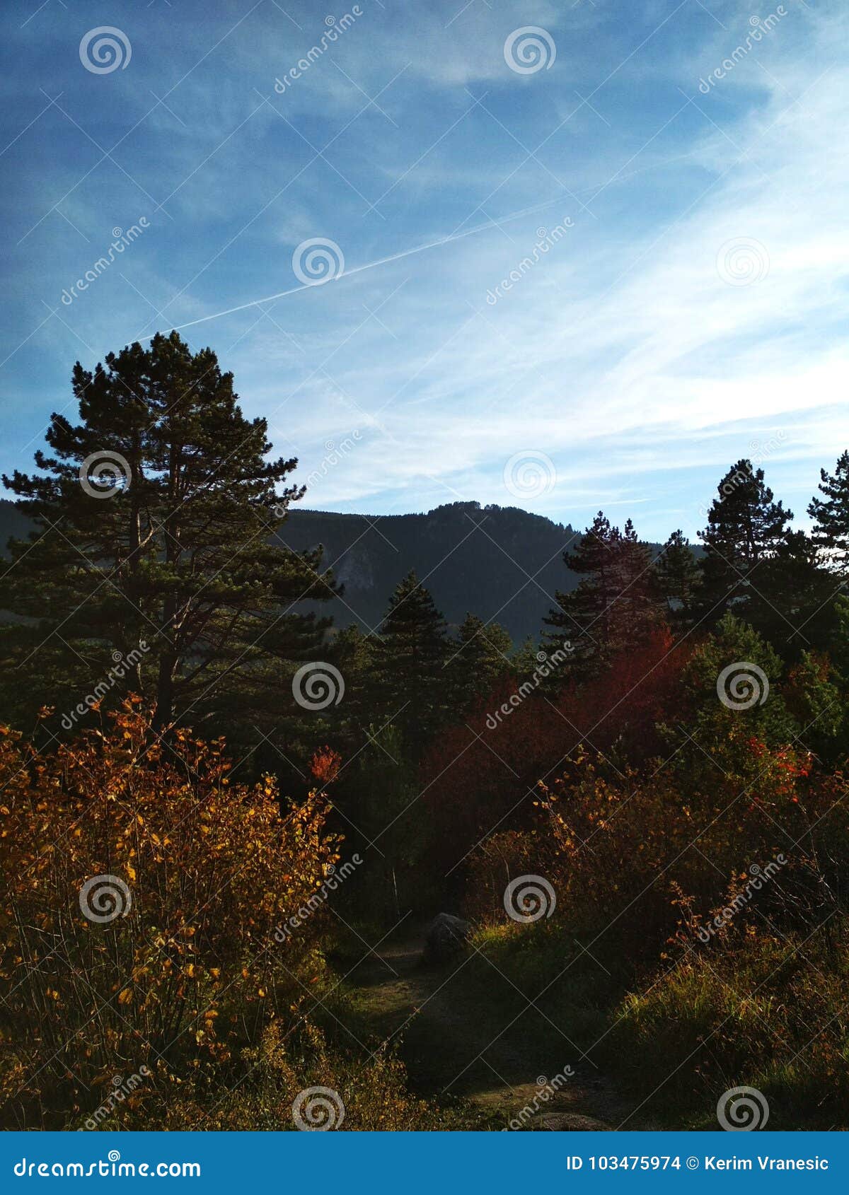 Trebevic-Berg stockfoto. Bild von notwendigkeiten, bosnien - 103475974
