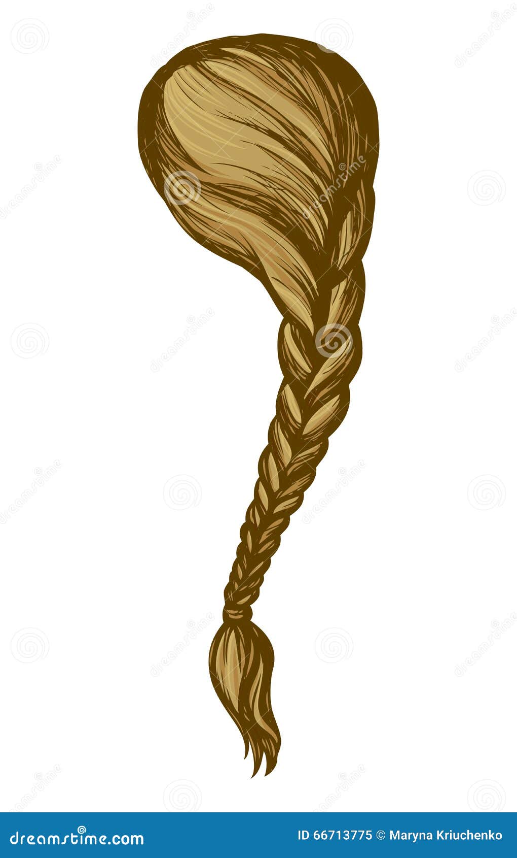 Treccia Lunga Illustrazione Di Vettore Illustrazione Vettoriale ...