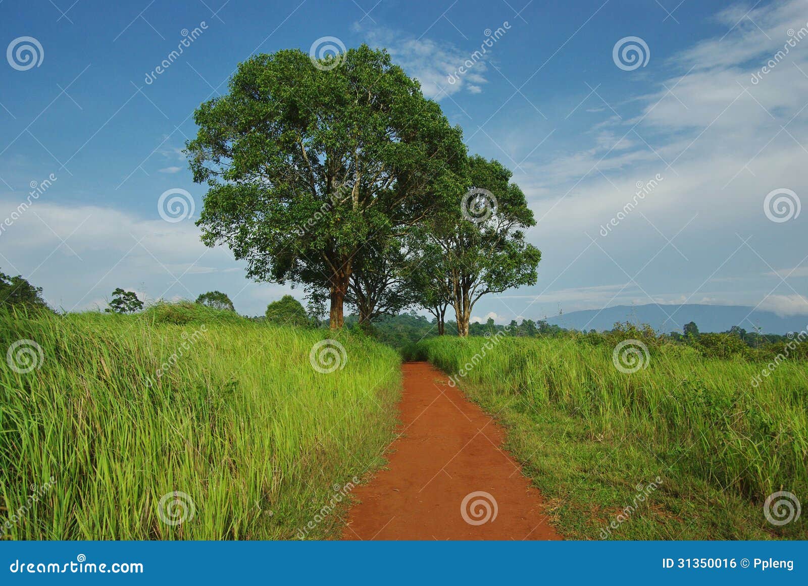 Trecking route stock photo. Image of field, grass, blue - 31350016