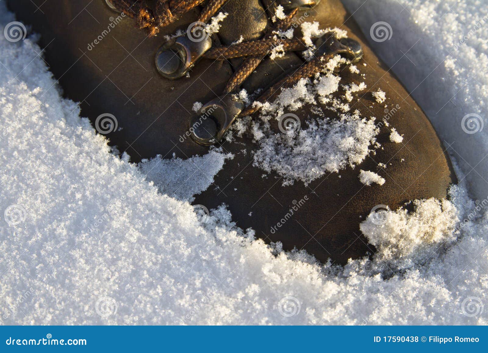 Trecking Shoe Set into Fresh Snow Stock Photo - Image of boot, foot ...
